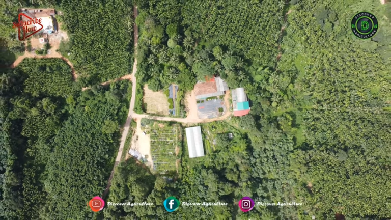 EXOTIC FRUIT FARM: Farmer Anil Balanja Grows more than 700 Exotic Fruit ...