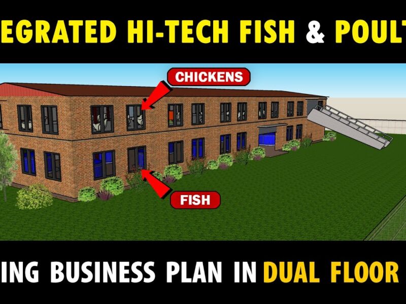 Integrated GOAT and FISH Farm | Modern Goat Fish Farming