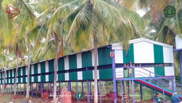 Integrated Goat-Fish/Poultry-Fish and Coconut Farming